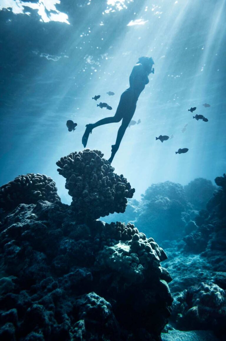 Goa Scuba Diving: A Mesmerizing Underwater Adventure - Things In Goa