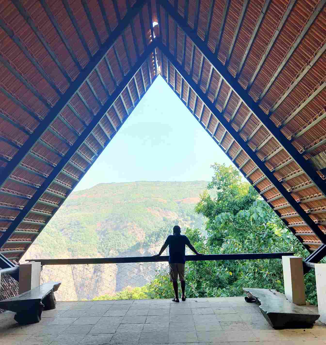 Wildernest Goa: Embrace Nature in the Ultimate Jungle Stay in Goa ...